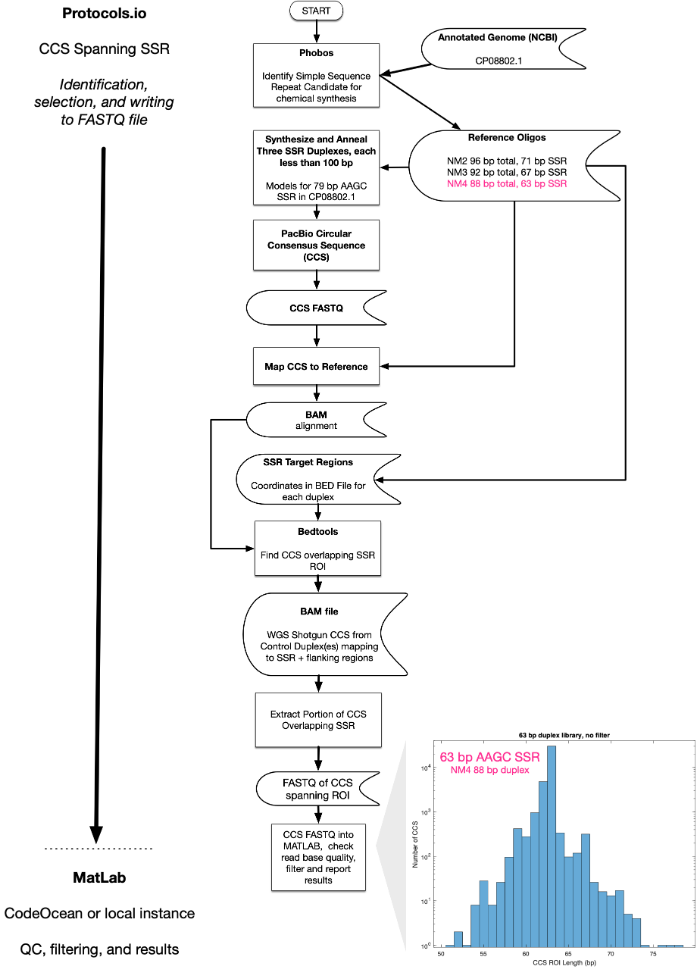 Steps to Create FASTQ of CCS Overlapping Control SSR - CCS ROI