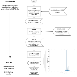 Steps to Create FASTQ of CCS Overlapping Genomic SSR - CCS ROI
