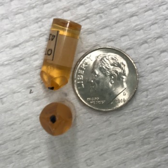 Post-Fixation Heavy Metal Staining and Resin Embedding for Electron ...