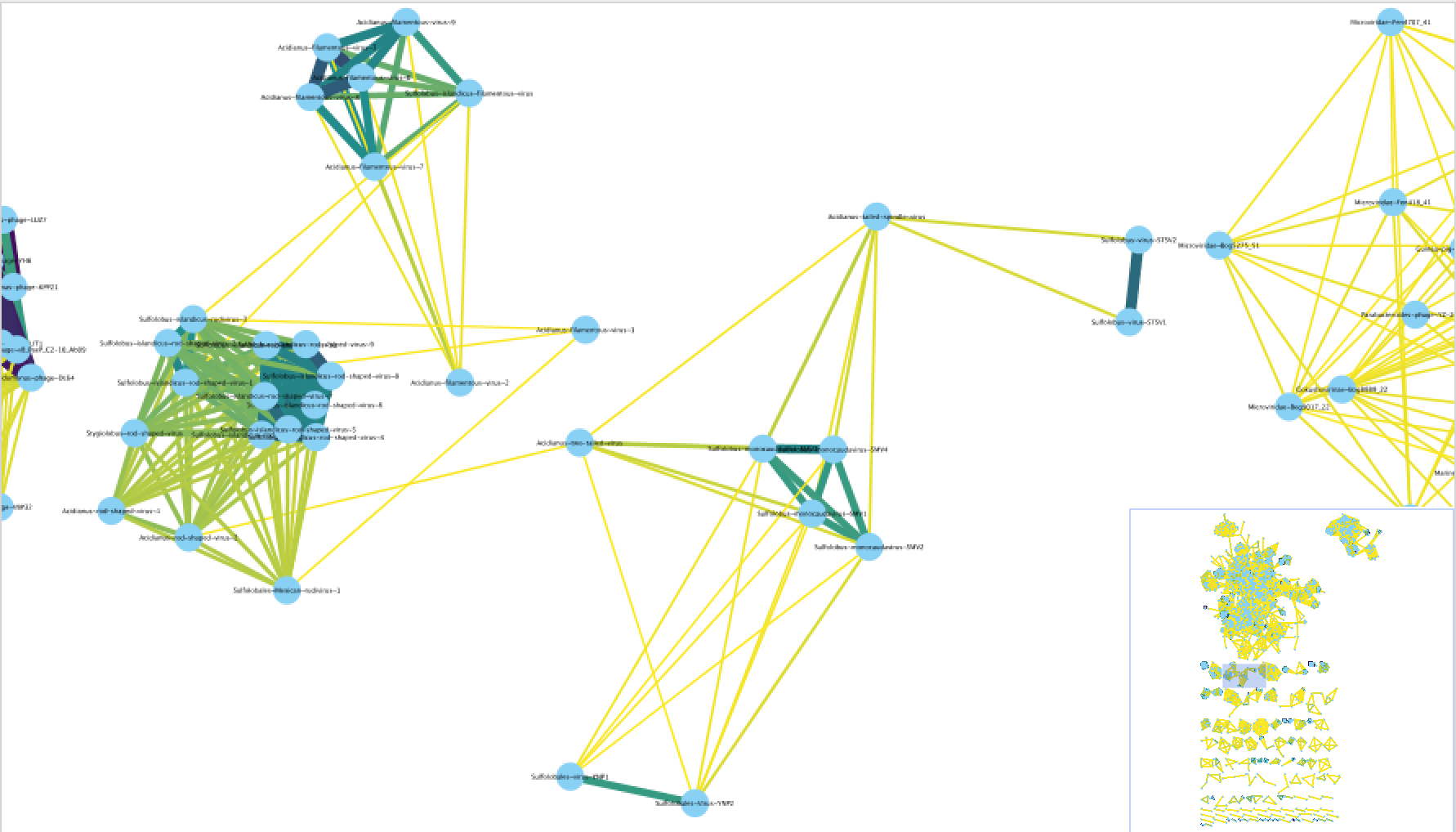 Applying vContact to Viral Sequences and Visualizing the Output (Cyverse)