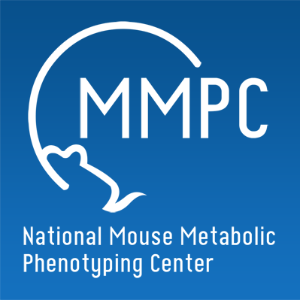 U Mass - STZ-induced type 1 diabetes model