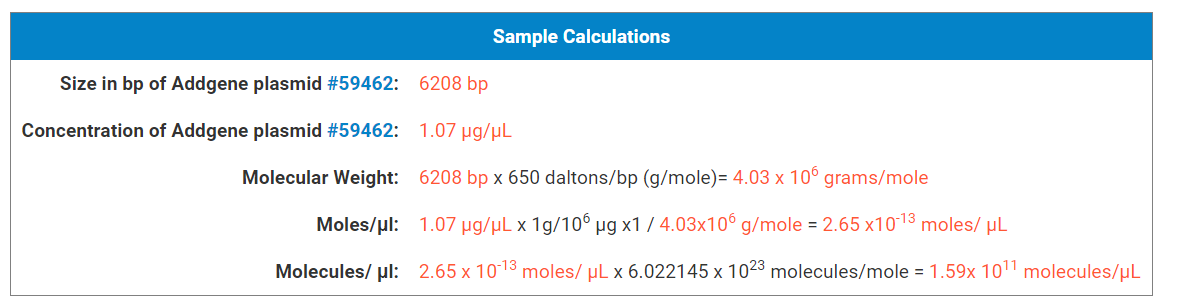 AAV Titration by qPCR Using SYBR Green Technology