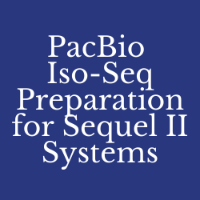 PacBio Iso-Seq Preparation for Sequel II Systems