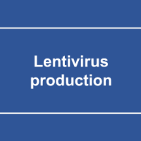 Lentivirus Production