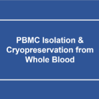 PBMC Isolation & Cryopreservation from Whole Blood