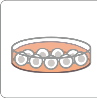 Generation of stable cell lines using Lentiviral vectors