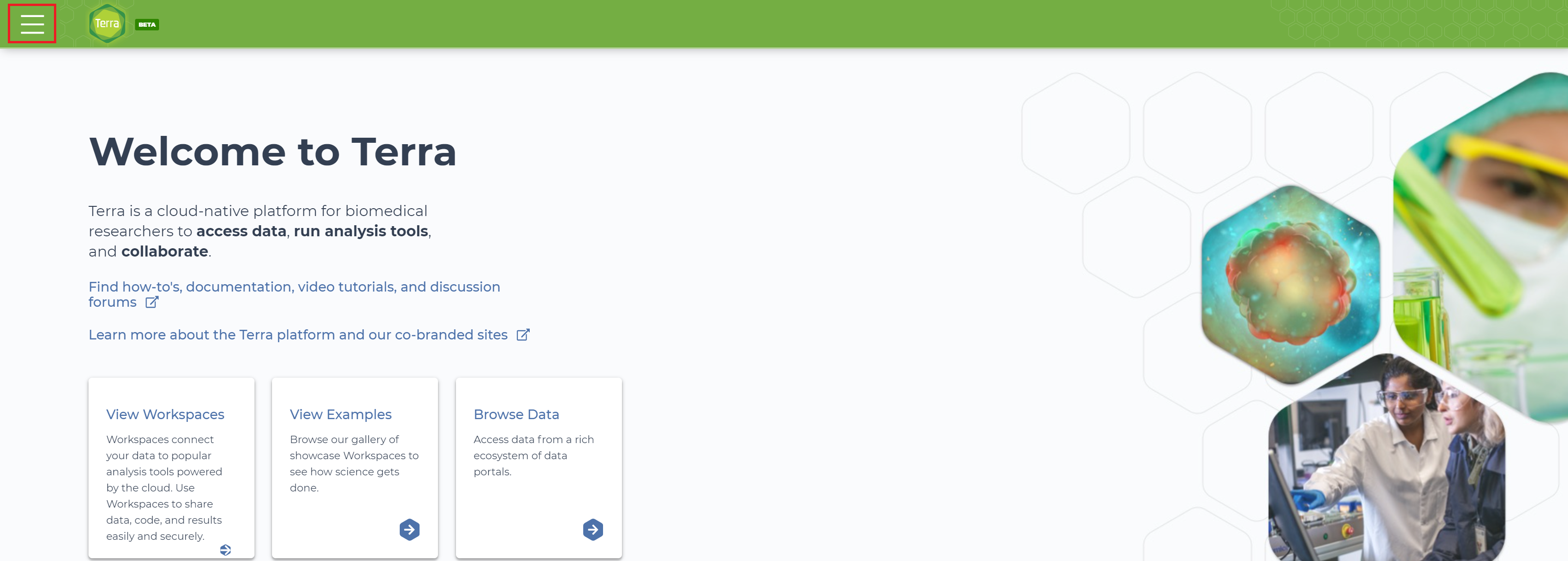 Terra Registration - Linking GCP Credits to the Terra Platform