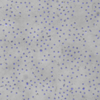 Nuclei extraction for 10x Genomics Single Cell Multiome ATAC + Gene ...