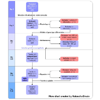 How to design a study flow chart