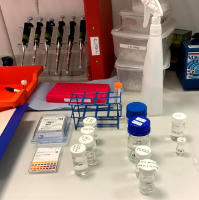 Biological sample lysis and extraction using the Covaris LE220+ for LC-MS