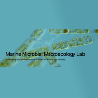 Chloroform-methanol protein precipitation from microalgae and Pierce ...