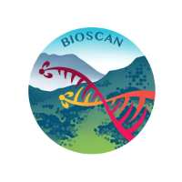 High-throughput DNA barcoding library construction and sequencing ...