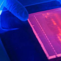 Quantifying and Checking Genomic DNA