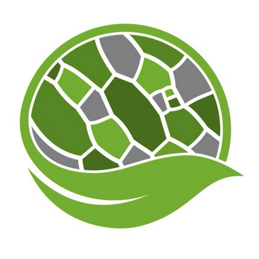 Plant Cell Atlas Methods Development Community - research workspace on ...