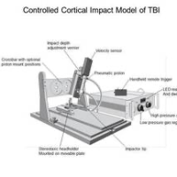 Open-Skull Controlled Cortical Impact (CCI) model in rats