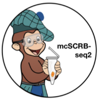 mcSCRB-seq2 protocol