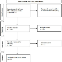 Systematic literature review