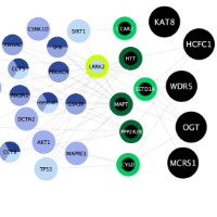 Protein network analysis links the NSL complex to Parkinson's disease via mitochondrial and ...