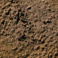 Soil sample DNA extraction (SuperSoil)