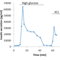 Dynamic Glucose-Stimulated Insulin Secretion using Biorep Perifusion ...