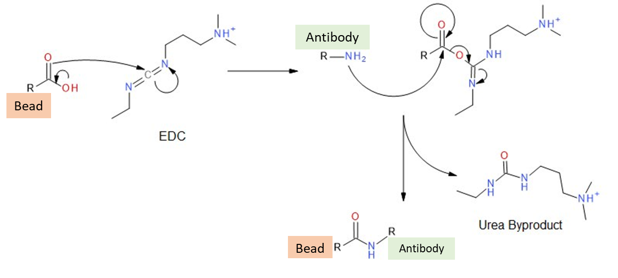 SiMOA pT73-Rab10 Homebrew Assay
