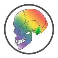 ColorBones: Full step-by-step protocol for the visualization and ...