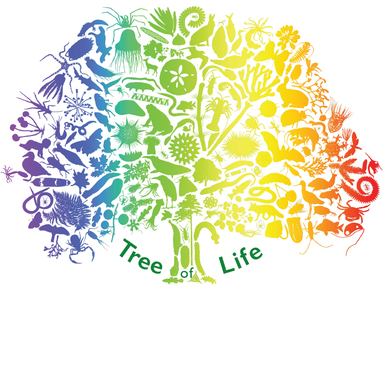 Tree of Life at the Wellcome Sanger Institute - research workspace on ... Tree of Life at the Wellcome Sanger Institute - research workspace on ...