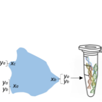 Optimized QIAGEN DNeasy Blood & Tissue kit Protocol for Environmental ...