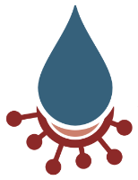 Effective Target Capture/Enrichment of Respiratory Viruses from Wastewater