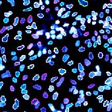 Gerencser Lab - research workspace on protocols.io