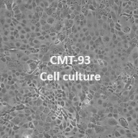 CMT-93 Cell Culture Protocol