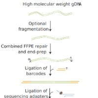 Native Barcoding (SQK-NBD114) gDNA for Adaptive Sampling using Oxford ...