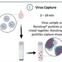 Wastewater grab sample processing with Nanotrap® Microbiome A particles ...