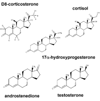 LC-MS/MS analysis of 5 steroids in plasma in a clinical study of ...