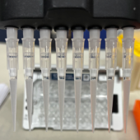 PBMCs Processing for Single Cell Multiome ATAC + Gene Expression Sequencing