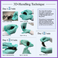 Mouse handling to reduce stress and reactivity