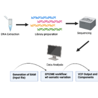 Oxford Nanopore Long-Read Sequencing for Identification of Somatic ...