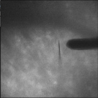 Fast-scan cyclic voltammetry to assess dopamine release in ex vivo ...