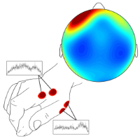 The Mind & Muscles: A Protocol for the simultaneous measuring of ...