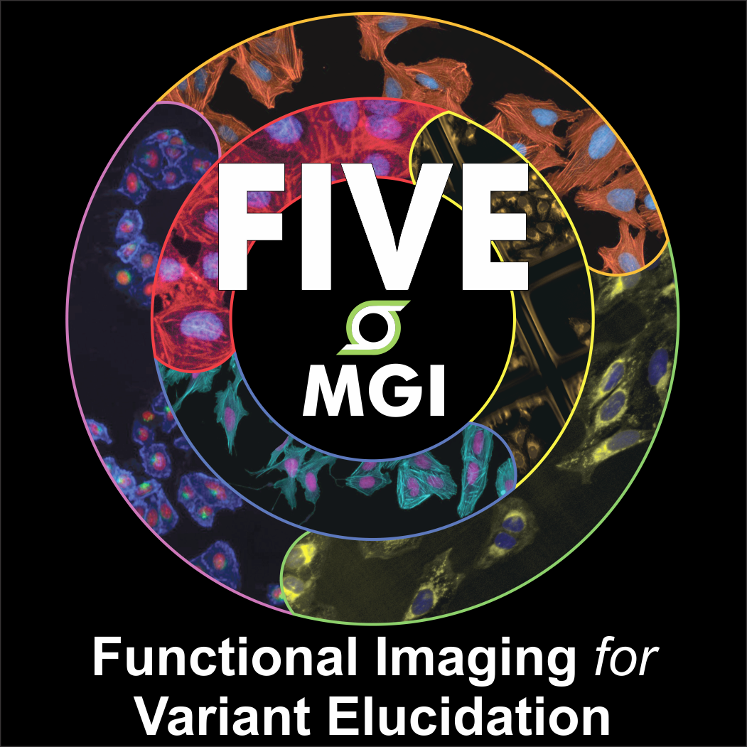 WashU FIVE @ MGI manage