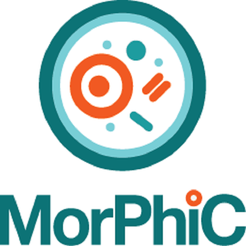 MorPhiC Consortium publications