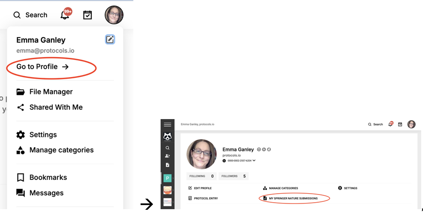 Linking to Springer Nature Submissions