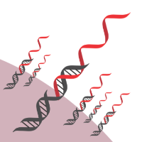 MULTI-seq sample multiplexing for 10x Genomics RNA+ATAC multiomic profiling