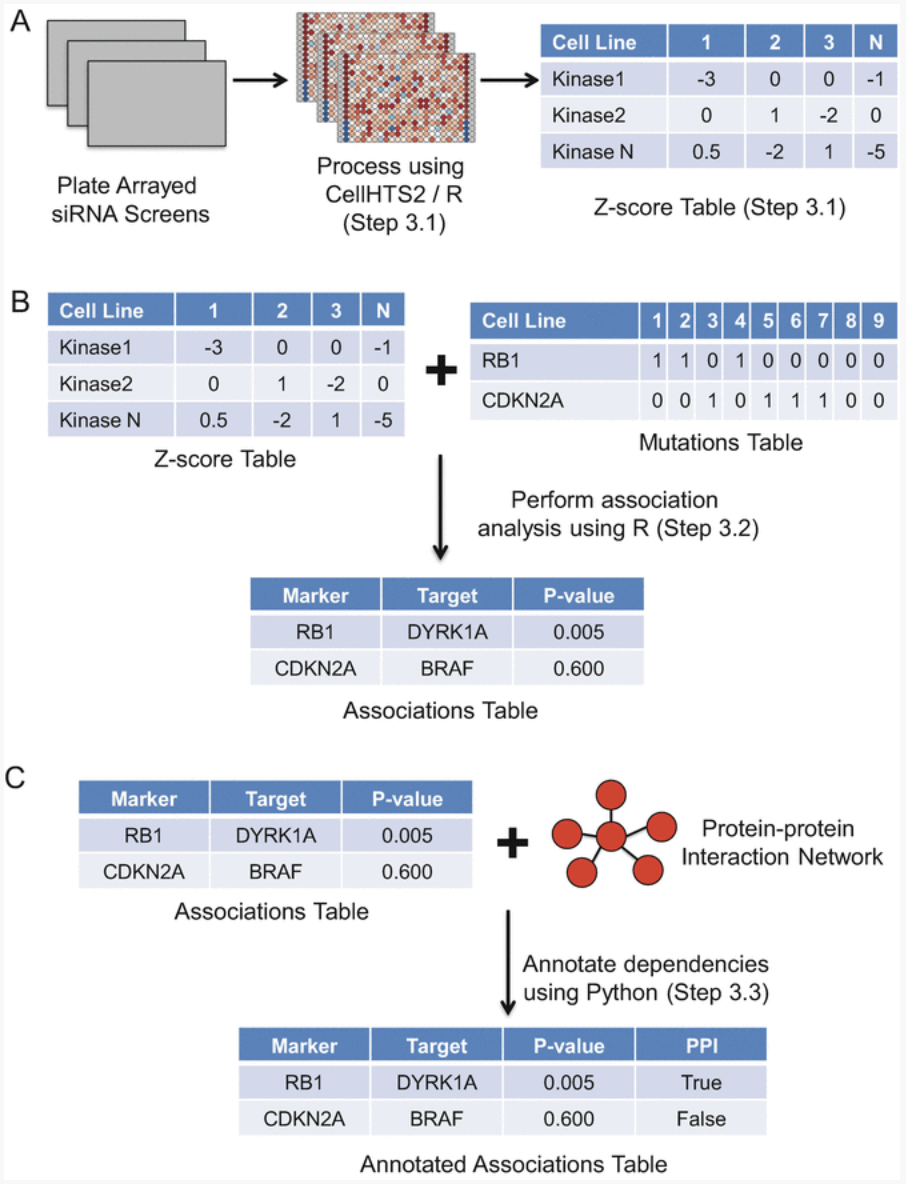 Identifying Genetic Dependencies in Cancer by Analyzing siRNA Screens ...