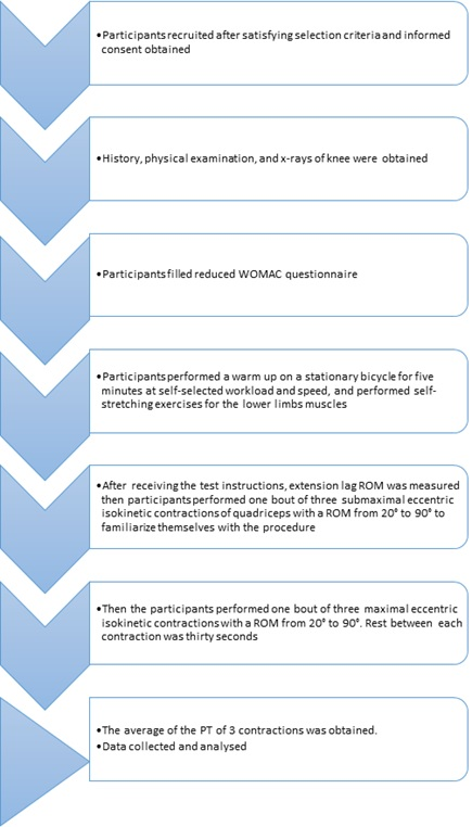 Correlation of eccentric quadriceps torque with knee pain, physical ...