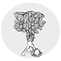 Wet lab SOP of the deep-sea sponge microbiome project