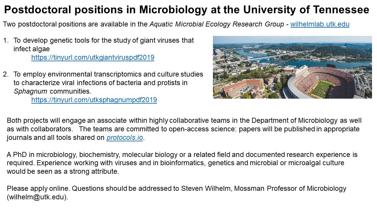 Postdoctoral positions in Microbiology at University of Tennessee