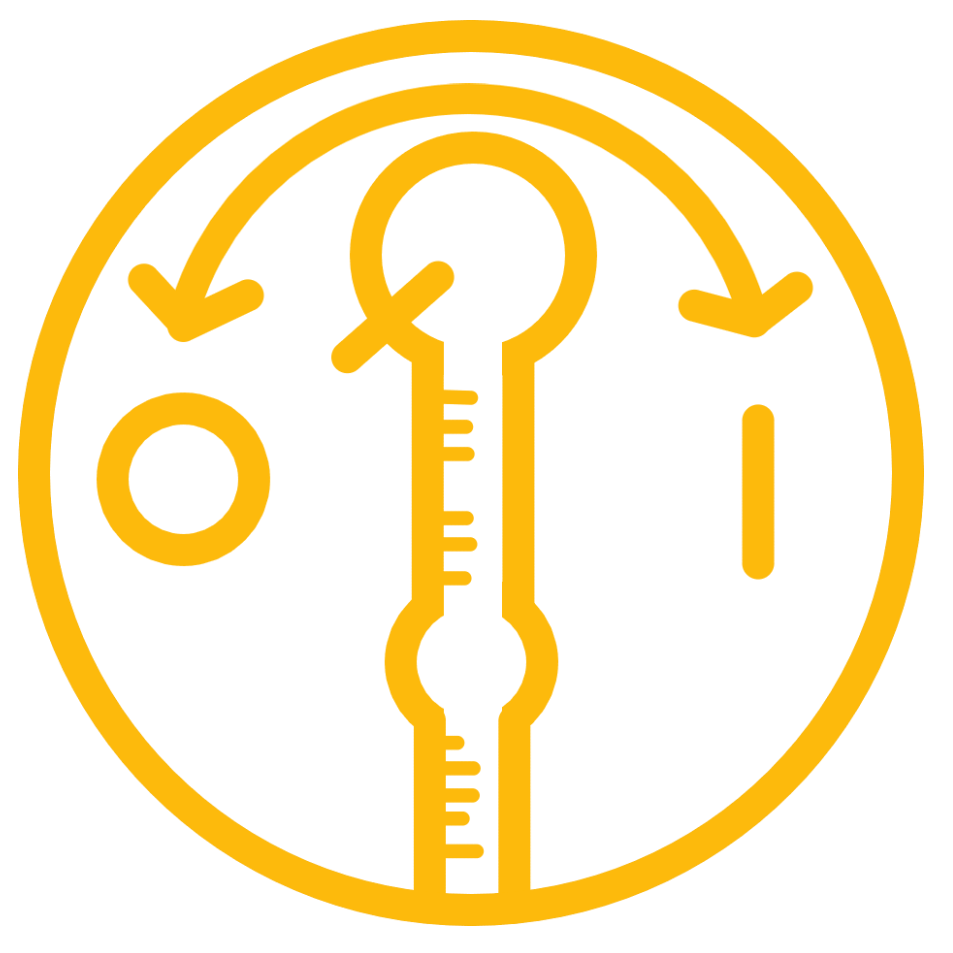 Toehold switch assembly