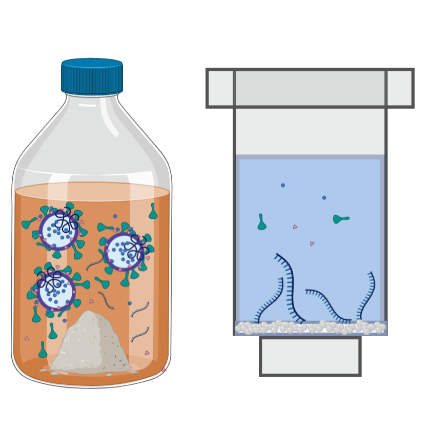Direct Wastewater RNA Capture And Purification Via The Sewage Salt 