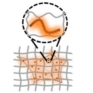 ExFISH Protocols For Cells and Tissues